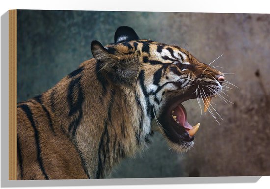 Hout - Sumatraanse Tijger met Open Bek en Lange Snorharen - 60x40 cm ...