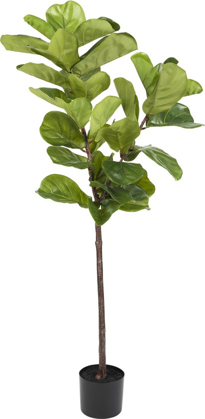 Greenmoods Kunstplanten - Kunstplanten - Ficus Tabaksplant Deluxe ... Greenmoods Kunstplanten - Kunstplanten - Ficus Tabaksplant Deluxe ...