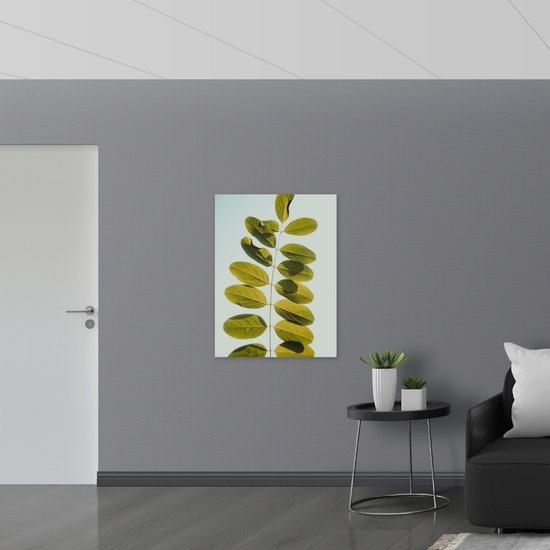 Hout - Lichtgroene Robina Plant op Pastelblauwe Achtergrond - 75x100 cm ...