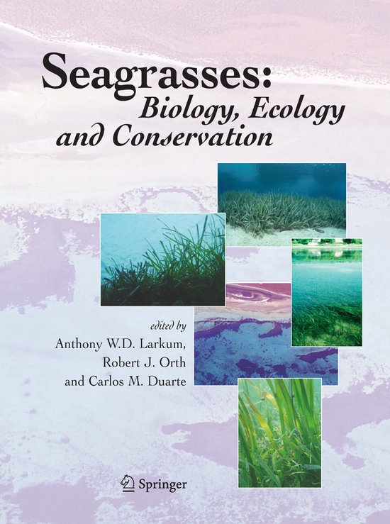 Seagrasses: Biology, Ecology and Conservation, Anthony W. D. Larkum ...