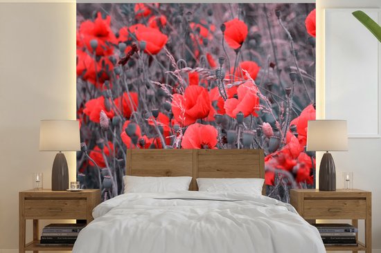 Behang - Fotobehang Rode Klaprozen in een zwart wit afbeelding ...