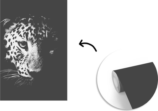Behang - Fotobehang Panter - Wilde dieren - Zwart wit - Dieren ...