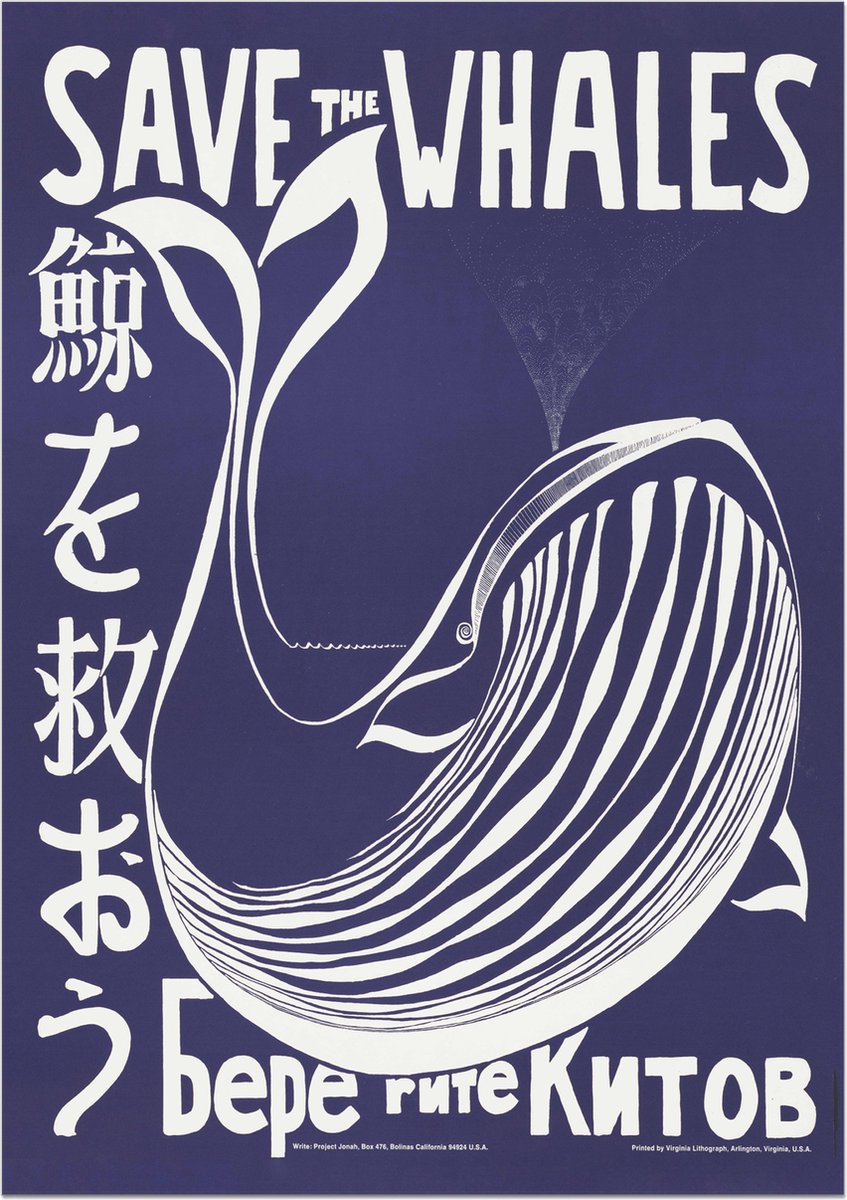 Walvis poster, Save the Whales, A4 | bol.com