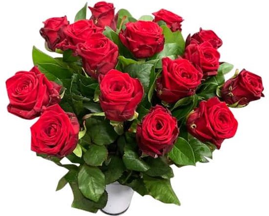 10 rode rozen boeket | bol