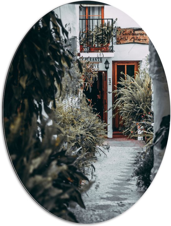 WallClassics - Dibond Ovaal - Begroeiing bij Patio van Woning - 60x80 ...