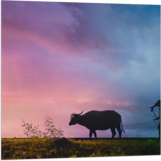 Vlag - Silhouet van Man werkend met Stier op het Land - 80x80 cm Foto ...