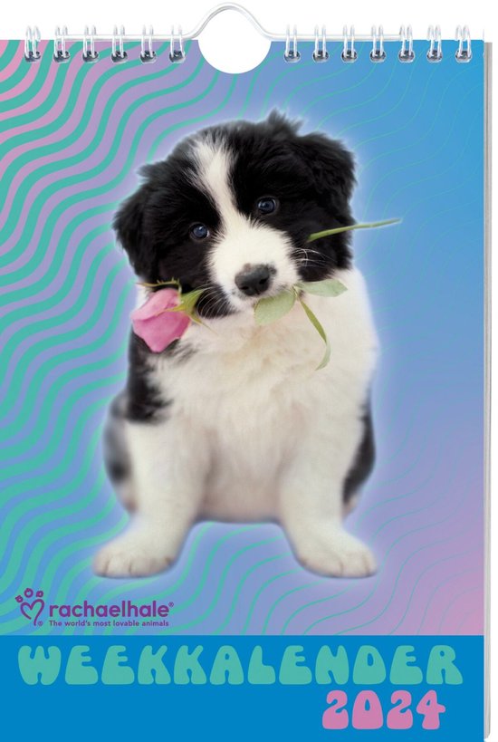 Rachael Hale Honden weekkalender- 2024 | bol.com