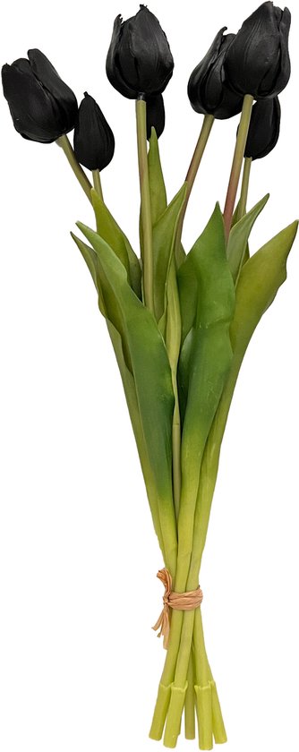 Boeket tulpen - 7 stuks - Zwart (47cm) | bol.com