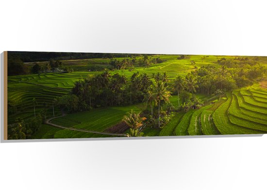 Hout - Uitzicht over Indiaanse Rijstvelden aan de Rand van Bergen ...