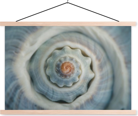 Posterhanger incl. Poster - Schoolplaat - Schelp - Close up - Blauw ...