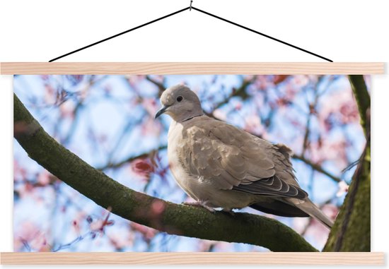 Posterhanger incl. Poster 150x75 cm - Schoolplaat - Vogel - Bloemen - Duif - Bloesem... | bol