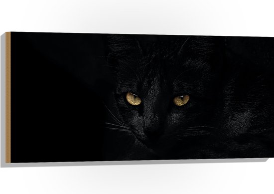 WallClassics - Hout - Zwarte Poes met Zwarte Achtergrond - 100x50 cm ...