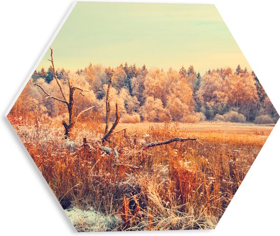 PVC Schuimplaat Hexagon - Landschap van Bomen in Beige Kleuren - 30x26 ...