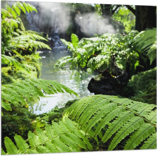 Vlag - Groene Bladeren bij Water in Regenwoud - 100x100 cm Foto op ...