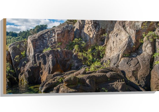 Hout - Begroeiing op Rotsen in het Water - 100x50 cm - 9 mm dik - Foto ...