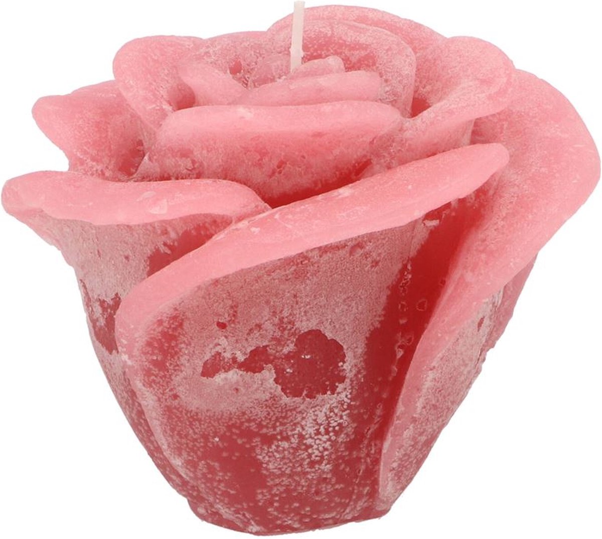 Daan Kromhout - 2 x KAARS ROOS BLUSH PINK 14X12CM - set van 2 stuks ...