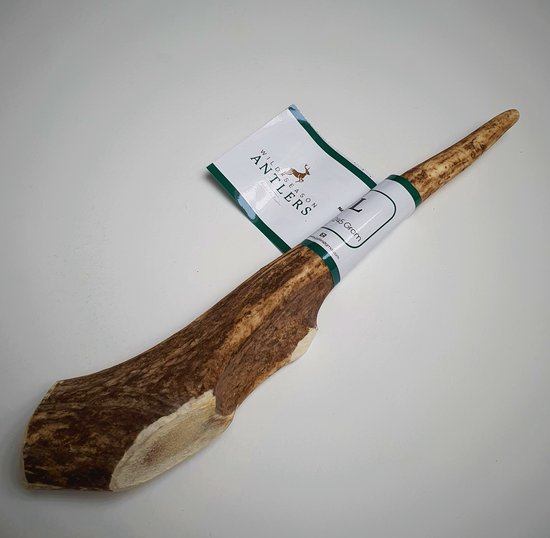 Wild Season Antlers - Hertengewei - Gewei - Antler - Vol Hond - 140-245 ...