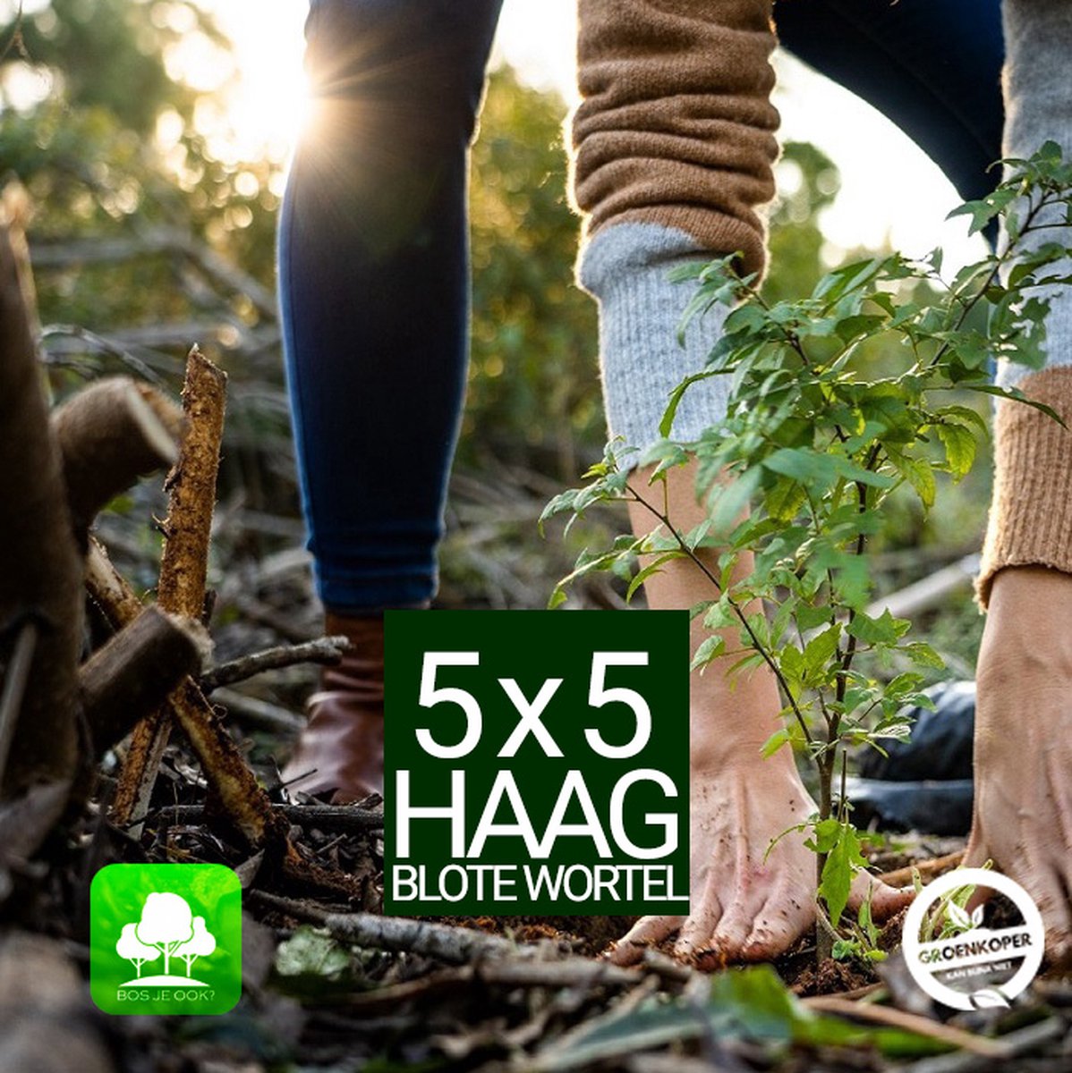 Bos je ook? 5x5 Haagplanten Blote Wortel 60-90 CM - 25m² Of 25 Lopende ...