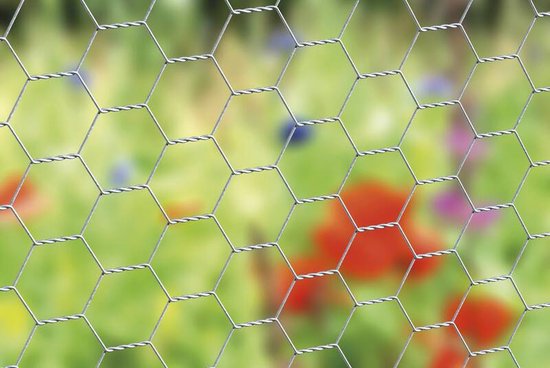 Alberts Zeshoekig gaas gegalvaniseerd, 100cm x 25m, 13x13mm, 0,7mm | bol