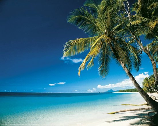 Strand Ochtendzon - Poster 50 x 40 cm | bol.com