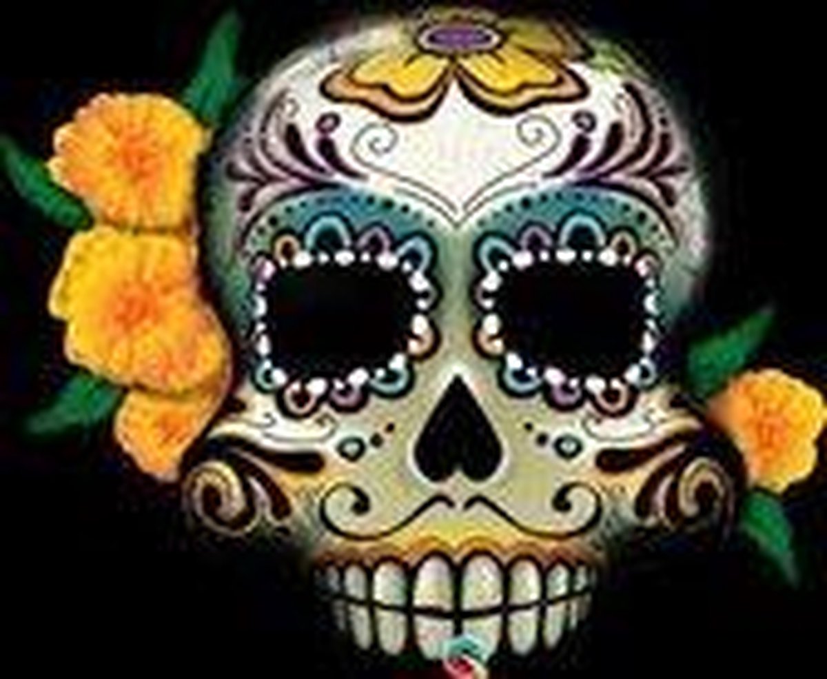 Dead Skull Folie ballon 76cm retailverpakking Qualatex | bol.com