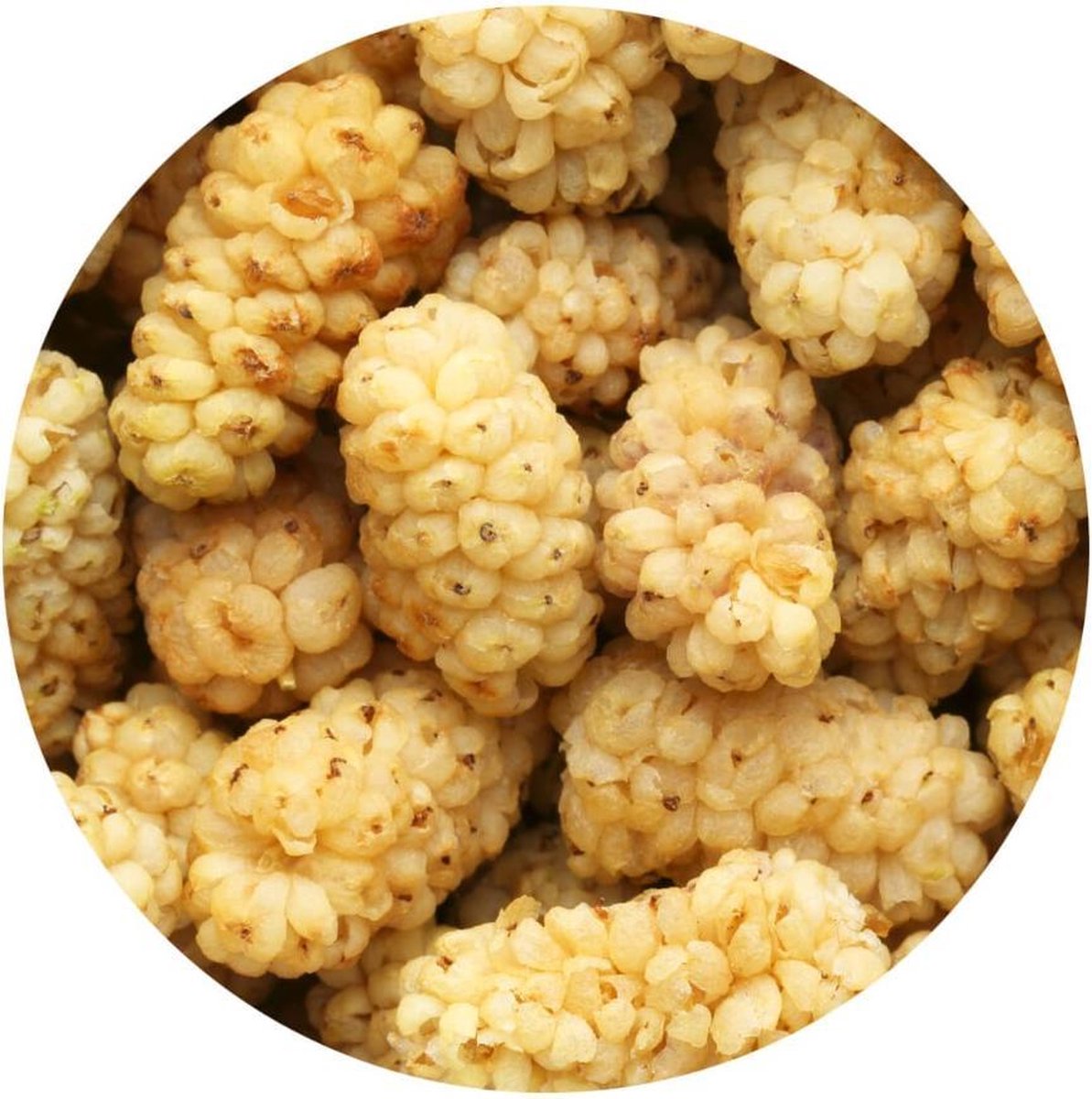 bol.com | Holyflavours - Moerbeibessen Wit gedroogd - 100 gram ...