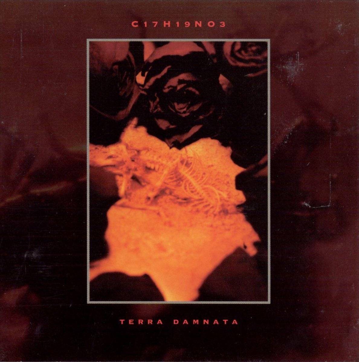 Terra Damnata, C17 H19 No3 | CD (album) | Muziek | bol