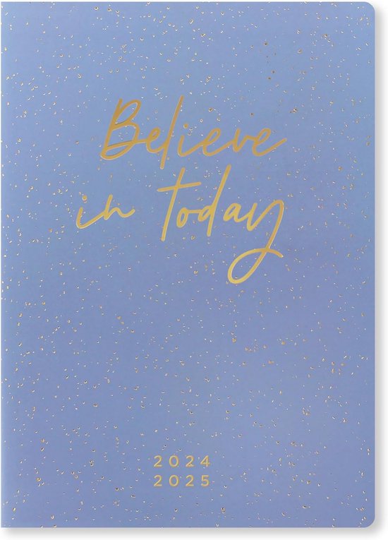 Academisch Dagboek A5 2024-2025 Week Overzicht Blauw met Digitale ...