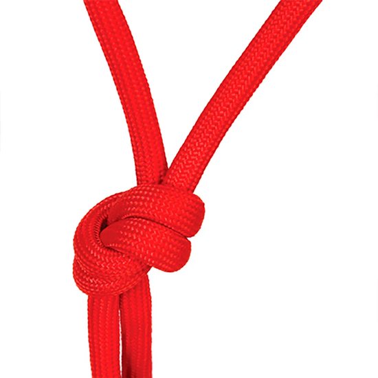 Blue Ice Alpine Runner Sling Rood 110 cm | bol