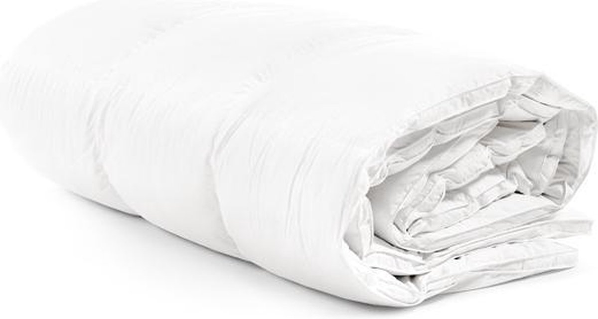 Oostenrijks donzen dekbed 240x220 | bol.com