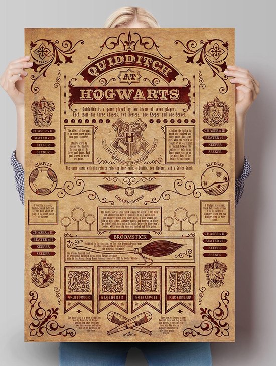 Harry Potter Quidditch - Poster 61 x 91.5 cm | bol.com