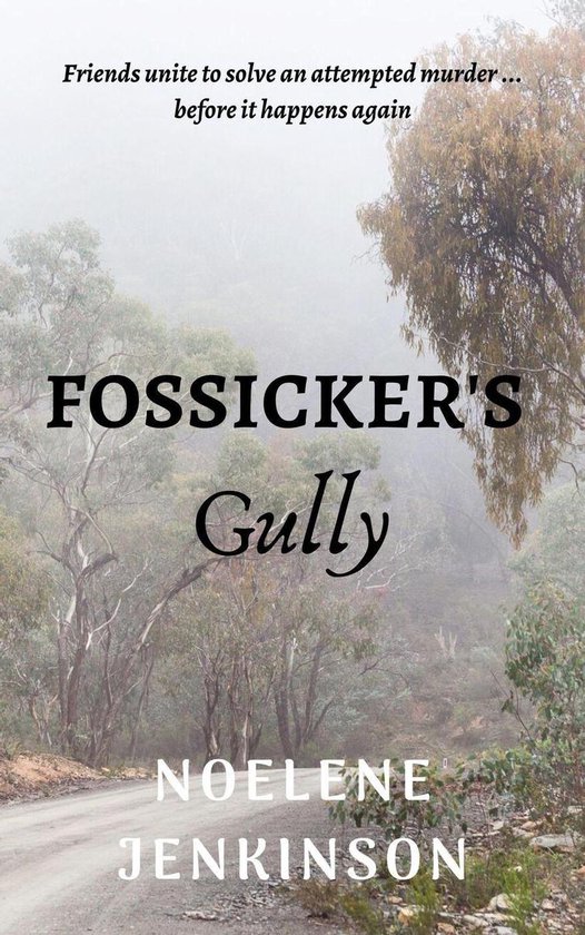 Fossicker's Gully (ebook), Noelene Jenkinson | 9781393277408 | Boeken ...