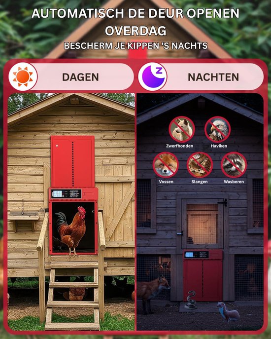 Kippenluik Automatisch - Chickenguard - Kippendeur - Rood | bol