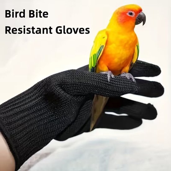 Beschermende Handschoenen voor Vogeltraining - Anti Bijthandschoenen ...