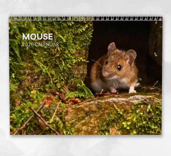 Maandkalender 2026: Hangende A4 Kalender met Ruimte voor Notities en ...