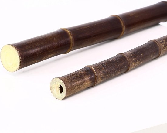 Natuurlijke Bamboe Buis 3 Meter Lang Dikte 3.5-4.0 cm Bruin Zwart | bol