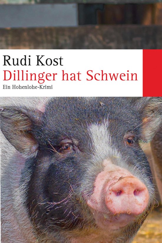 Dillinger 6 - Dillinger hat Schwein (ebook), Rudi Kost | 9783757595852 ...