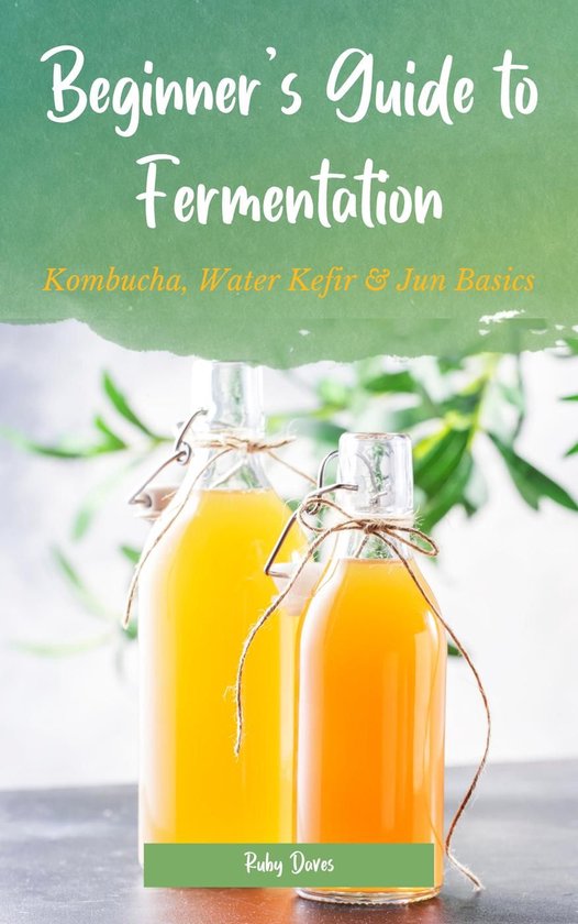 Beginner’s Guide to Fermentation: Kombucha, Water Kefir & Jun Basics (ebook), Ruby... | bol