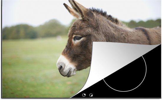 KitchenYeah® Inductie beschermer 80x52 cm - Close-up dwergezel ...