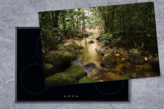 Inductie beschermer - Inductie Mat - Dichte begroeiing in het bos van ...