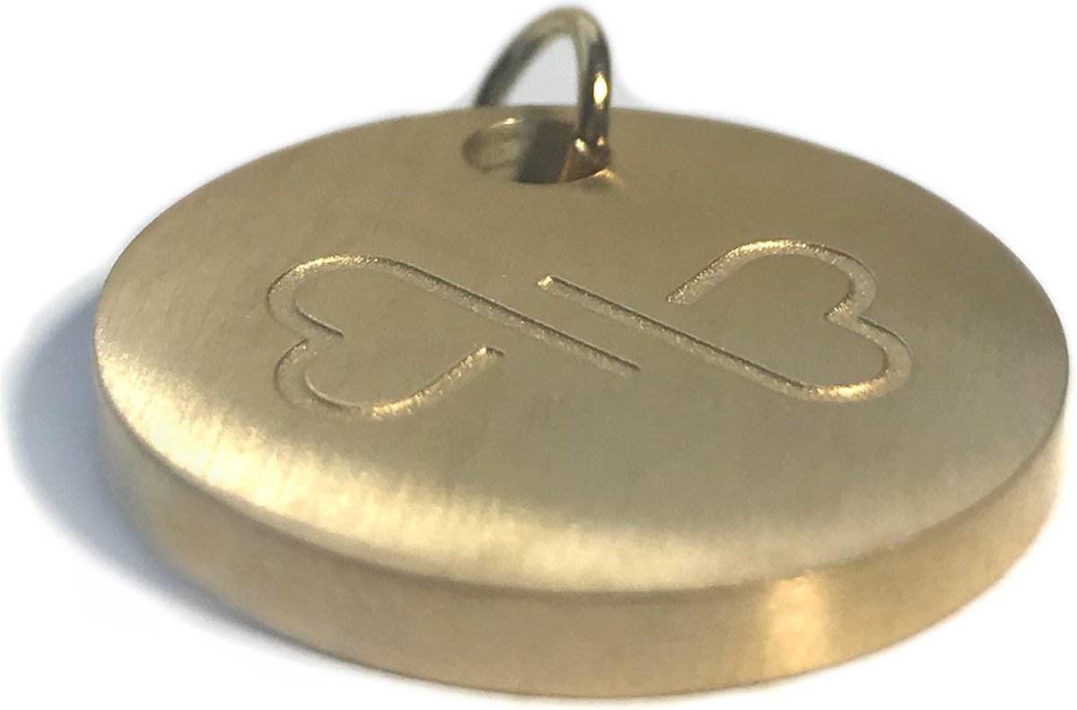 DOGA Hondenpenning Goud - Dierenpenning - Hondenpenning met naam en ...