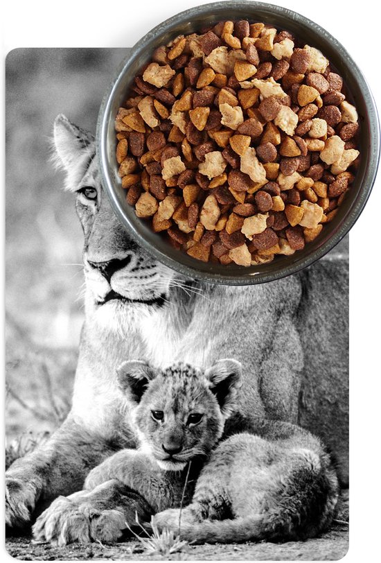 Voermat - Placemat voerbak - Placemat hond - Placemat kat - Leeuwin en ...