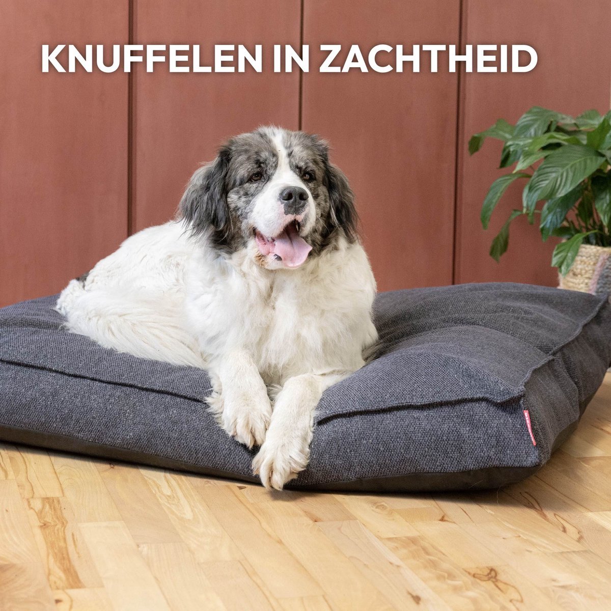 Lit pour chien orthopédique Snoozle - Coussin pour chien doux et Luxe ...