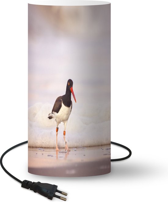 Lamp Scholekster - Scholekster loopt op strand met lichte achtergrond ...