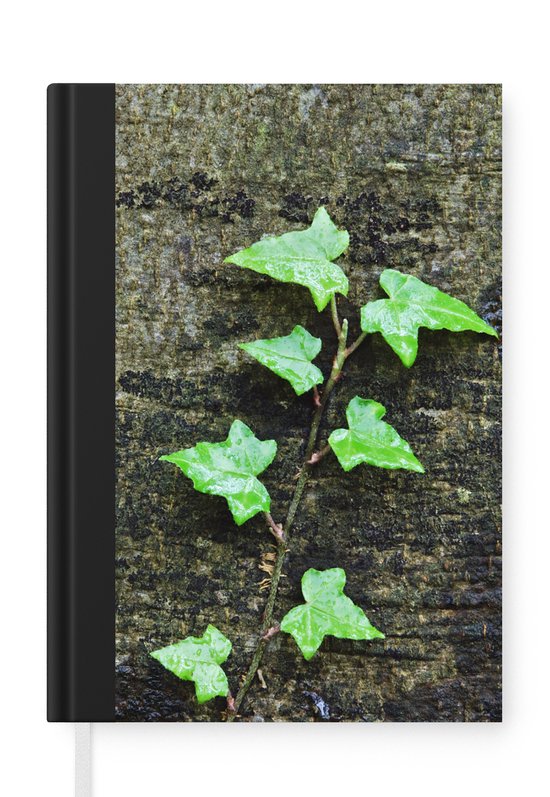Carnet - Cahier d'écriture - Une Hedera vert vif sur un grand arbre ...