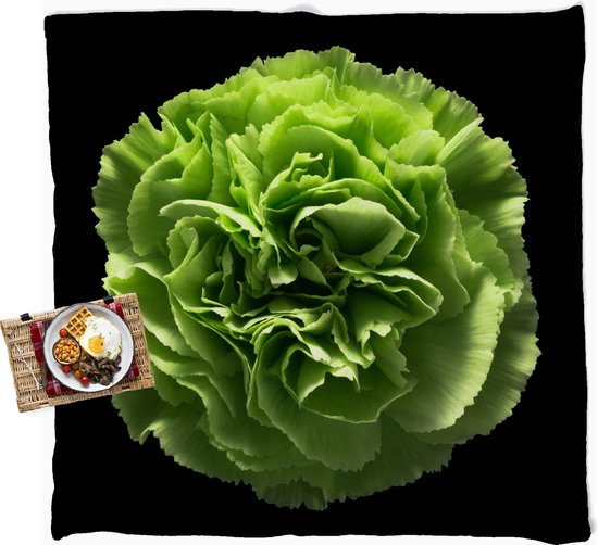 Waterdicht Picknickkleed - Geschikt als Strandlaken / Strandmat - Groen ...