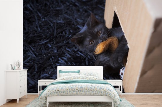 Behang - Fotobehang Kat met speeltje - Breedte 450 cm x hoogte 300 cm | bol