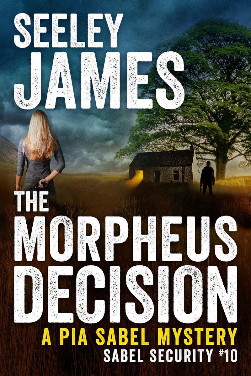 Sabel Security 10 - The Morpheus Decision (ebook), Seeley James ...