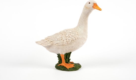 witte Eend | bol