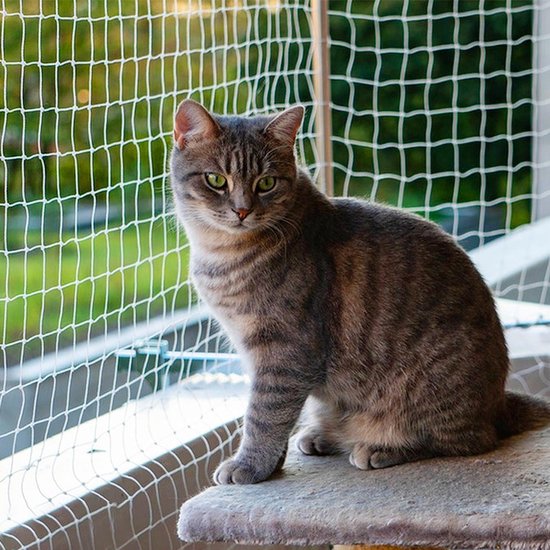 Kattennet balkon - Kattenbeschermingsnet - Balkon Net - Balkonnet ...